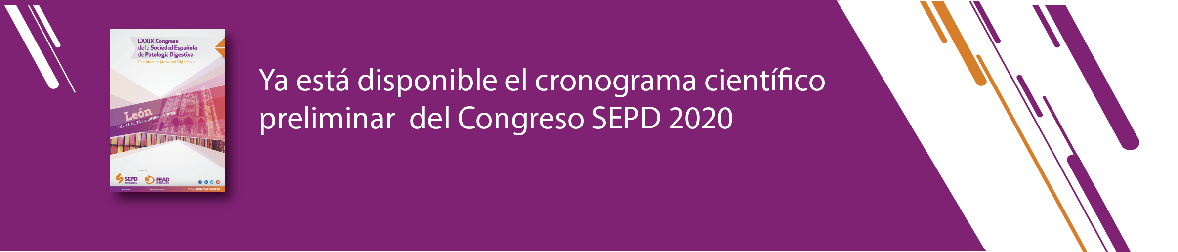Sociedad Española de Patología Digestiva (SEPD)